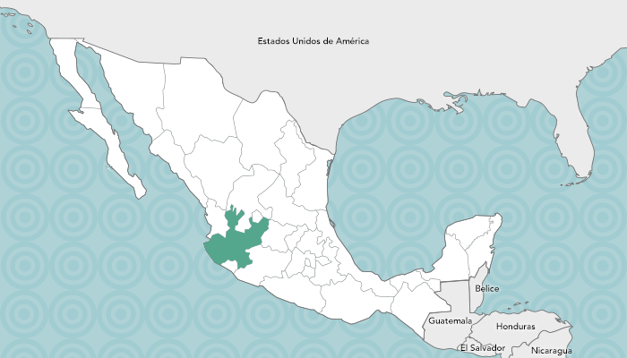 Gobierno de Jalisco