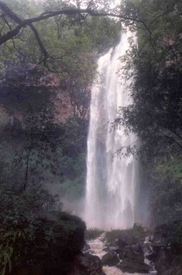 Gobierno de Jalisco